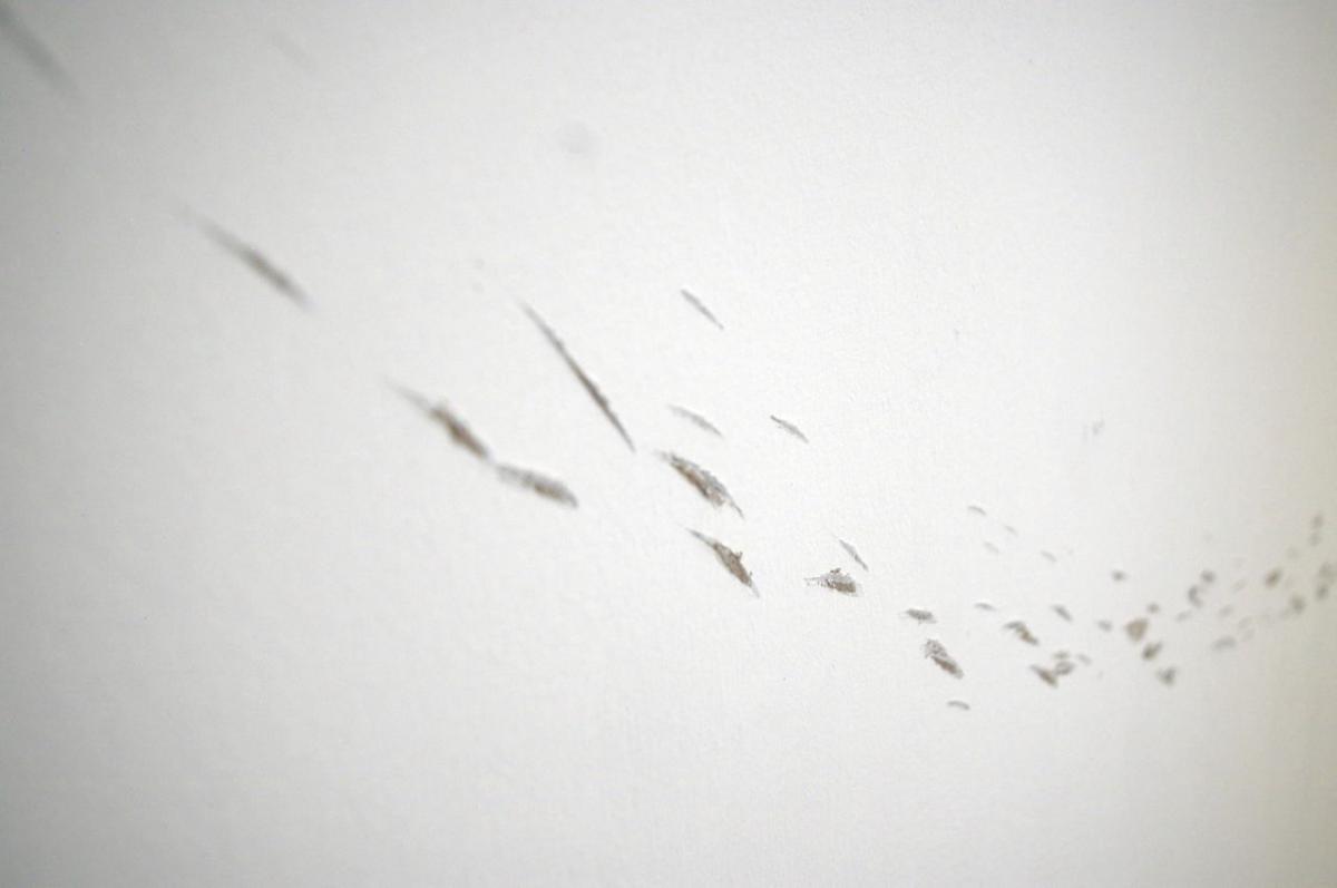 David Rickard, All Vertical Lines Intersect – Galleria Michela Rizzo